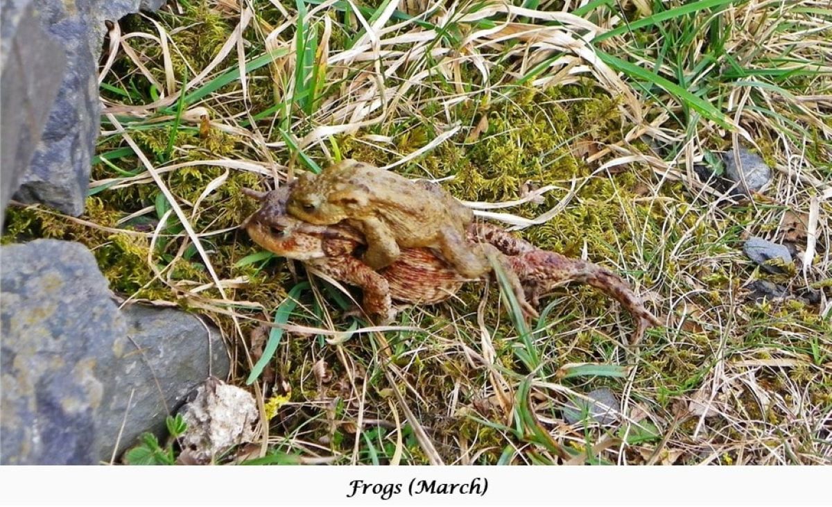 Visit Settle - Nature